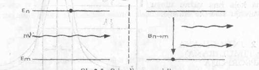 New Page 1 [znanje.org]